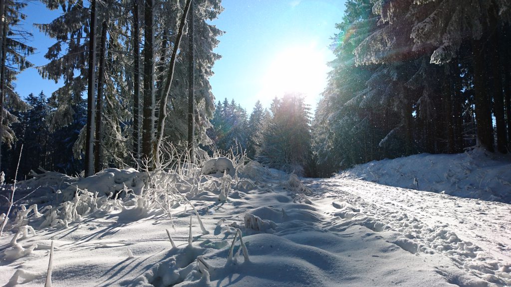 Aktuelles | Mario Bolz